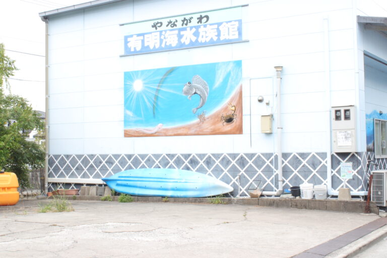柳川が胸を張り全国に発信したい誇りある小さな水族館 – 株式会社HACO LiB